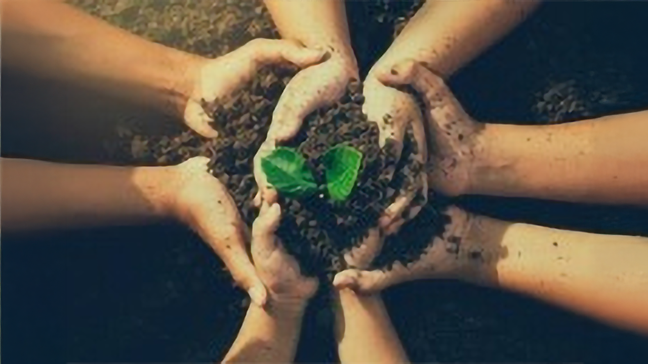 Cuidando el medio ambiente escolar – Campus Educativo